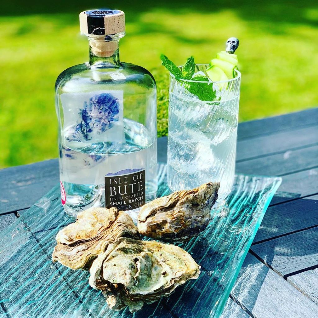 #GinADayMay 2020 Recap | Gin A Ding Ding