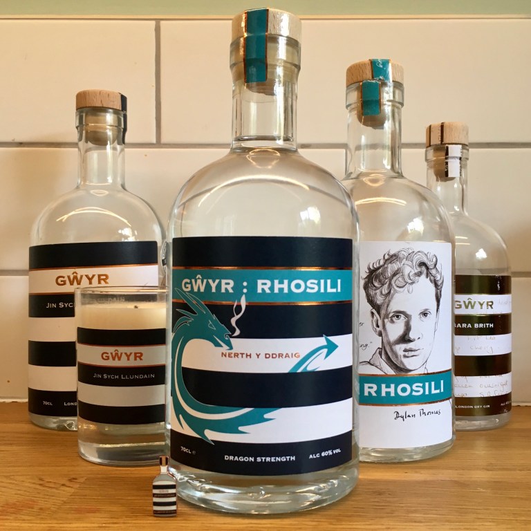 Gŵyr Rhosili Dragon Strength Gin | Gin A Ding Ding
